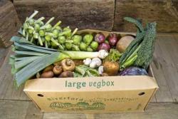 Riverford pancake day recipes by Jane Baxter