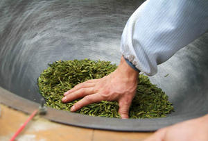 Enter the Dragon - Jing teas are a cup of deliciousness