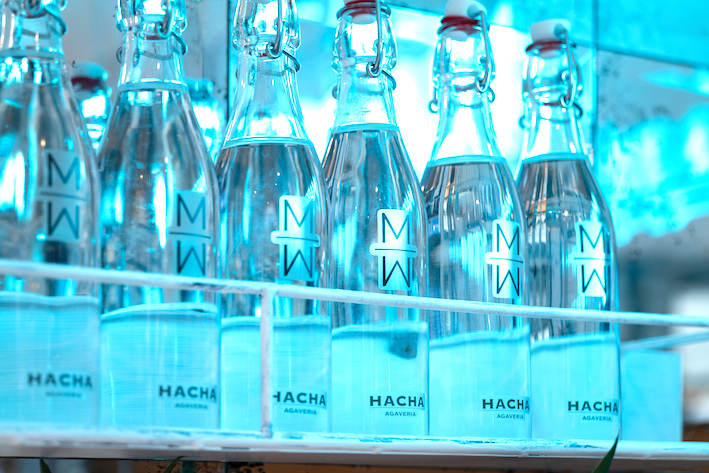 Hacha Partners With Nopalito