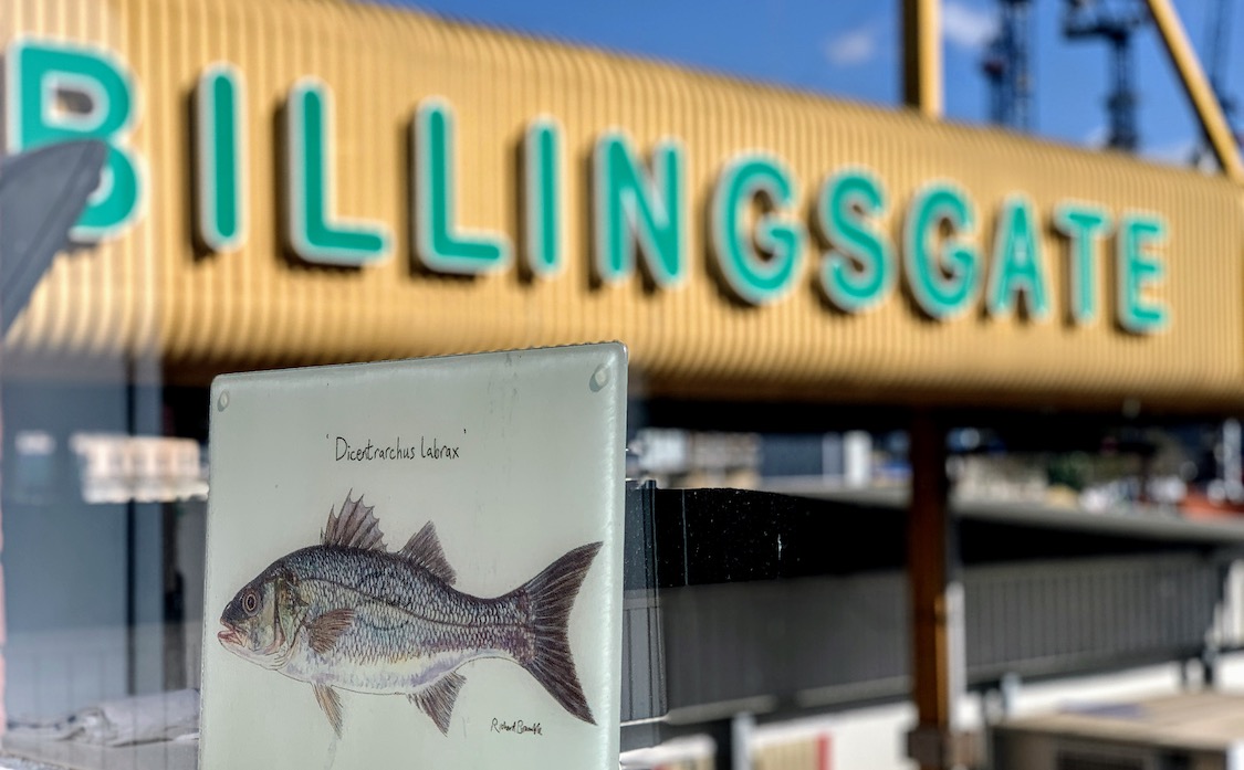 From Apprentice To Expert