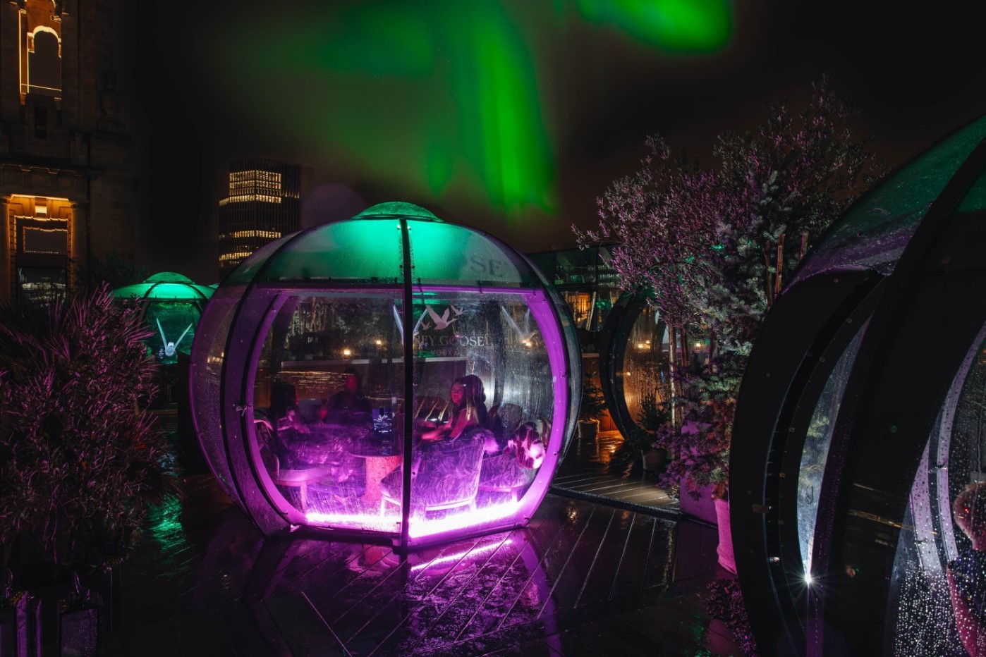 London Winter Terraces