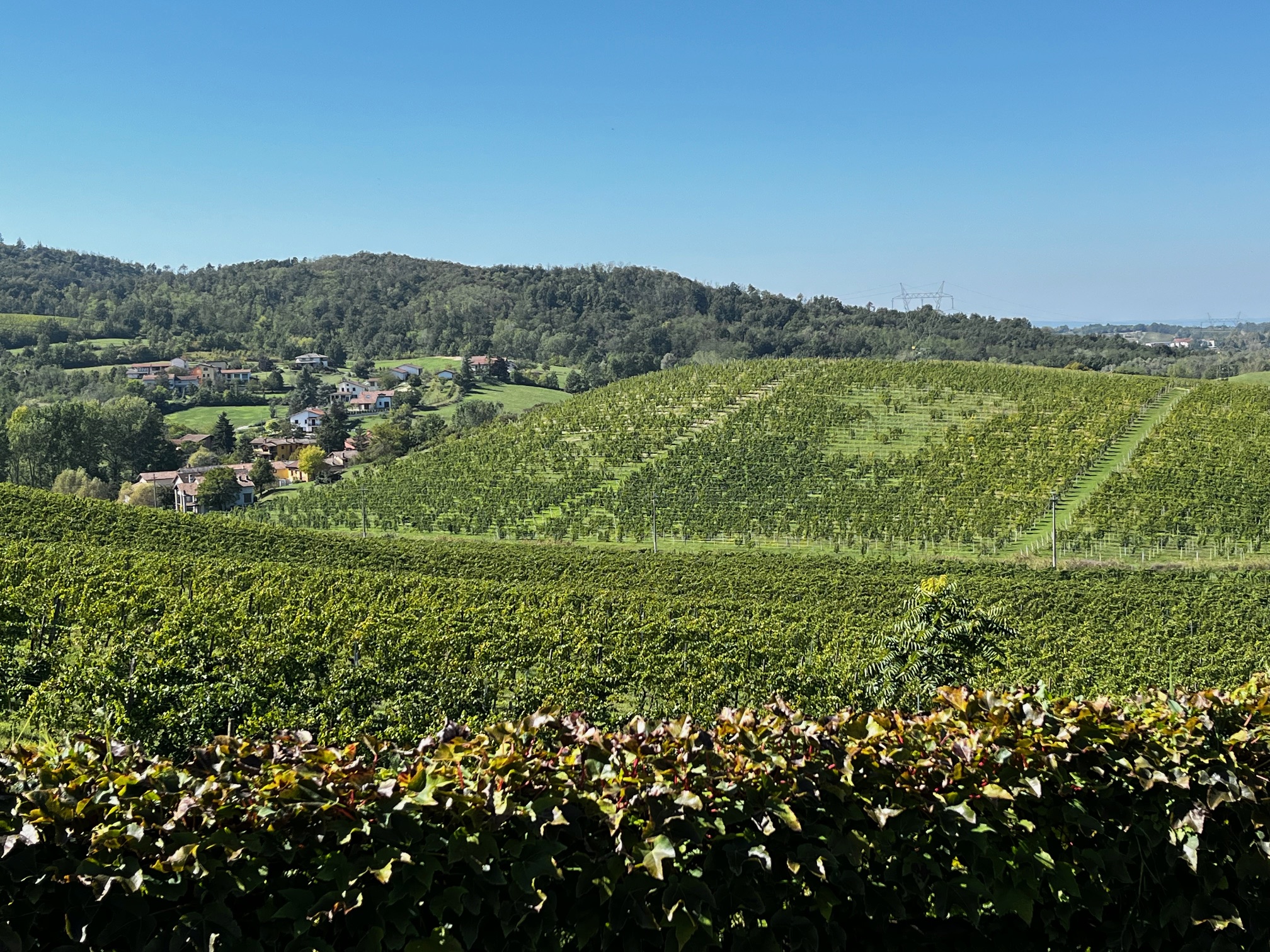 It’s Gavi, But Not As You Know It