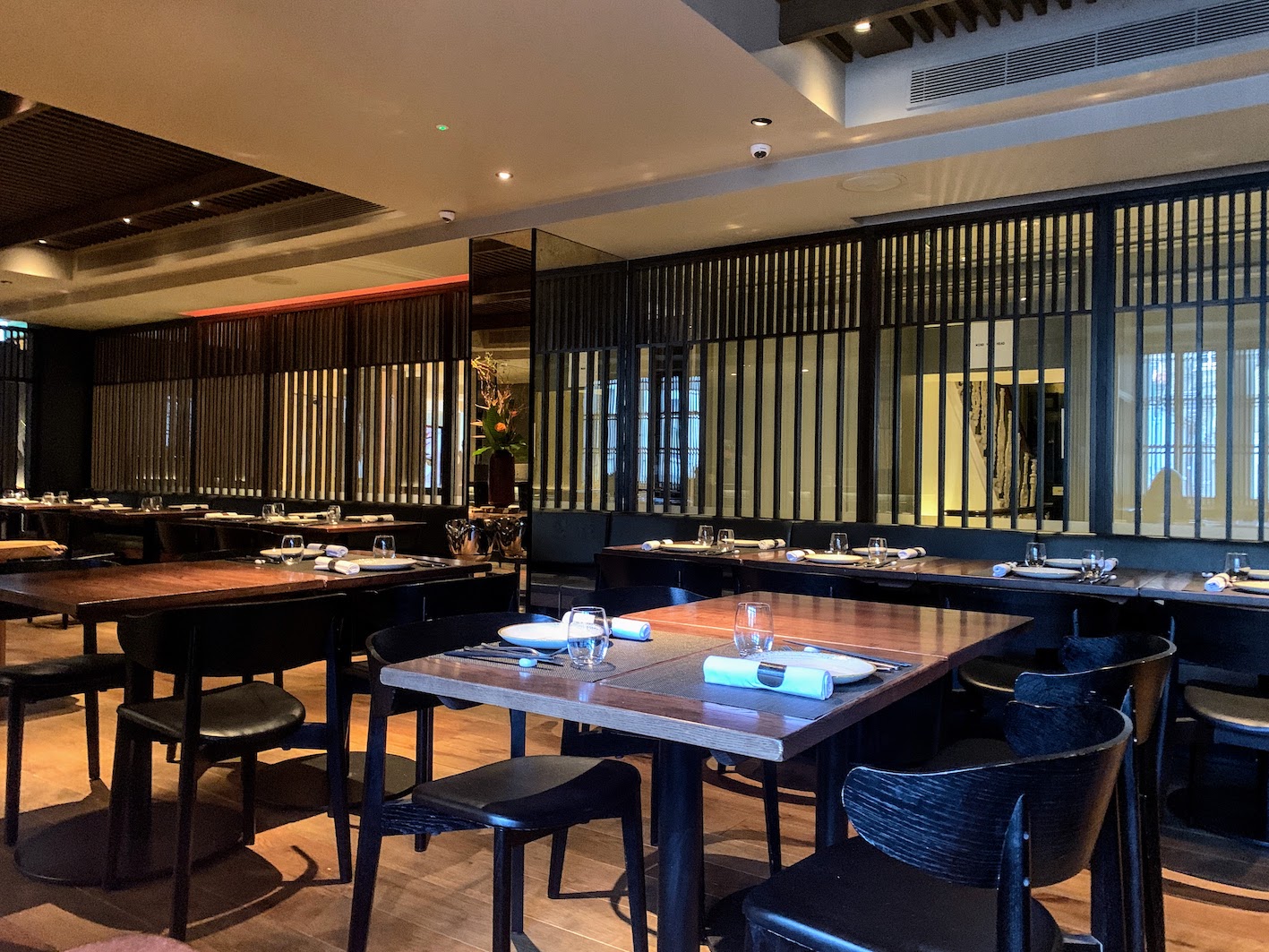 Tokii Wellness Menu Review